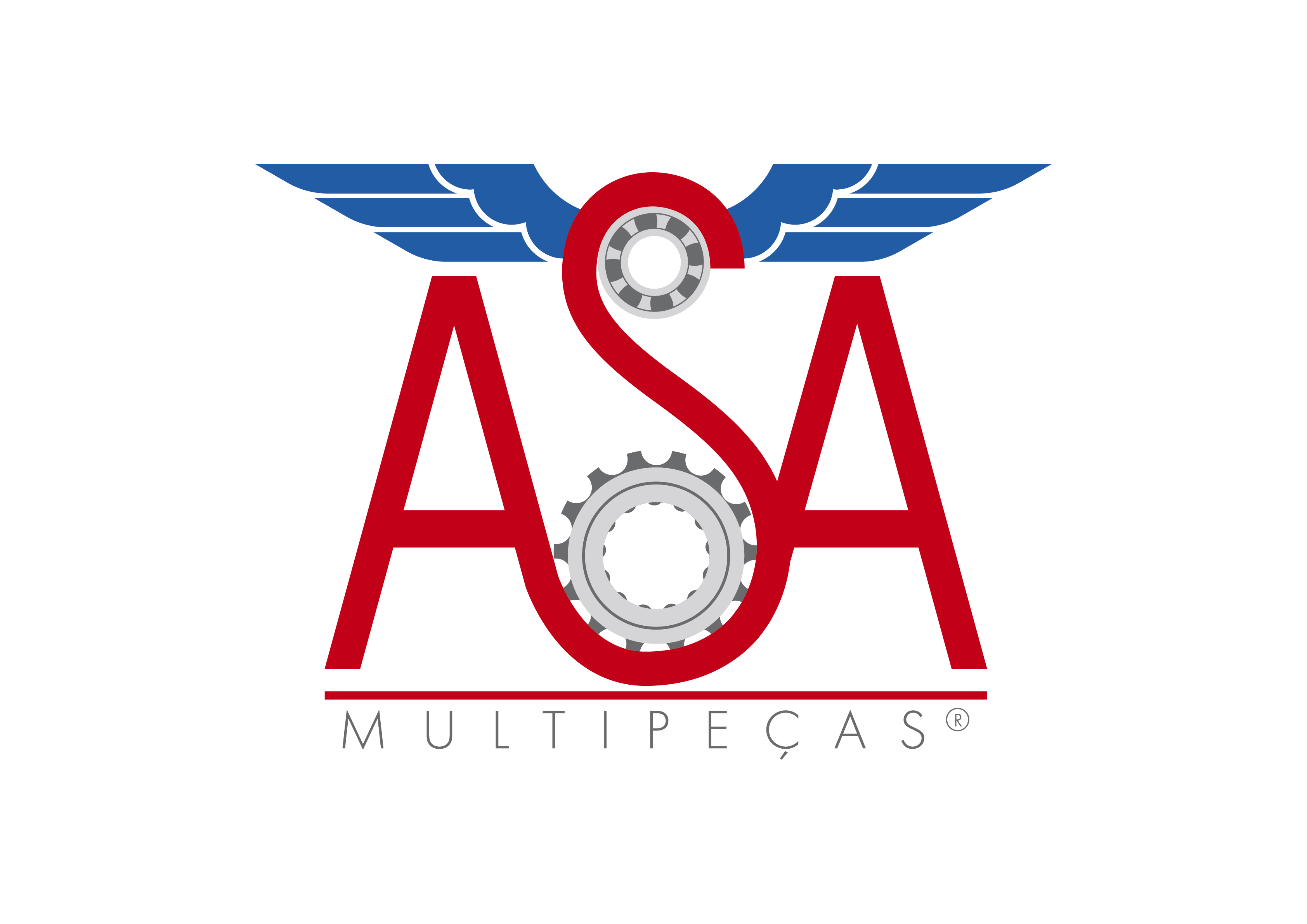Asa Multi Peças